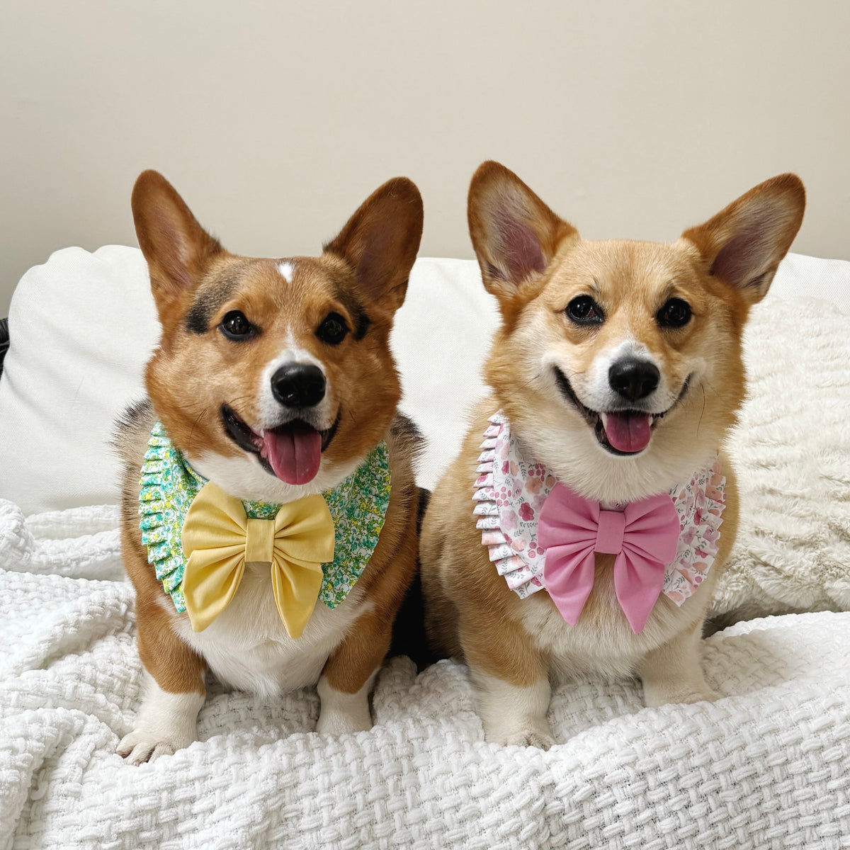 Dazzling Delight Cape | Woofu Shop